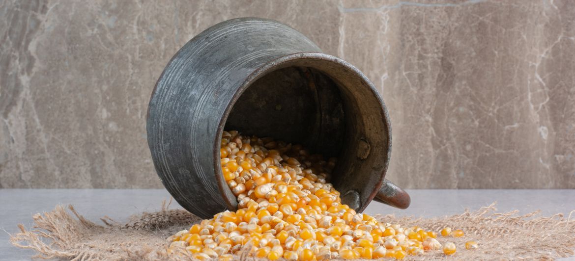 Maize Gluten - Enpro Feeds