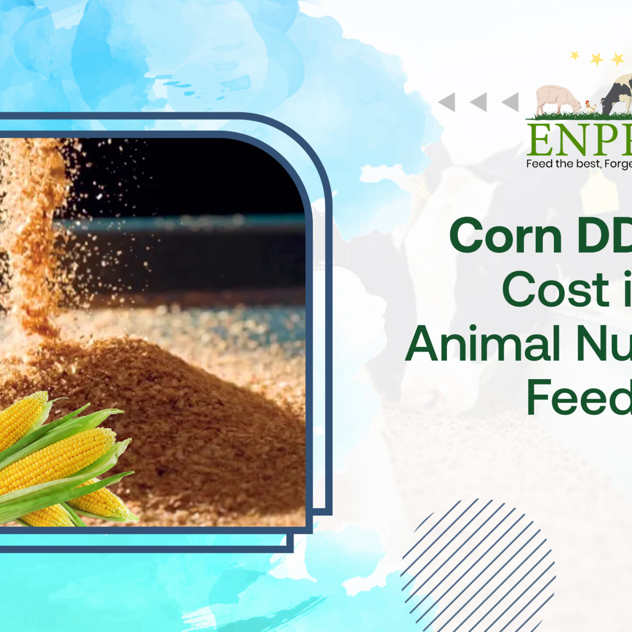 Animal Nutrition Feed for Health | Enpro Feed
