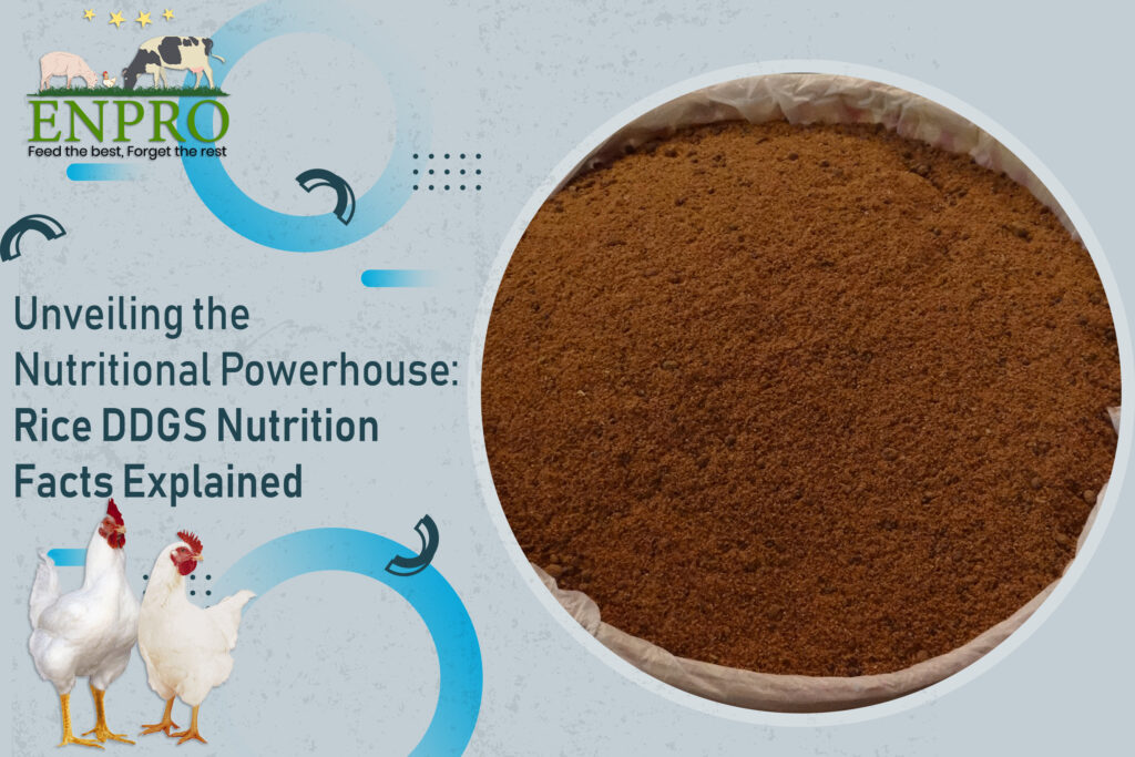 Rice DDGS Nutrition Facts Explained