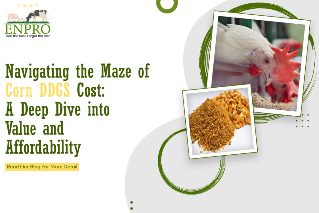 Navigating the Maze of Corn DDGS Cost