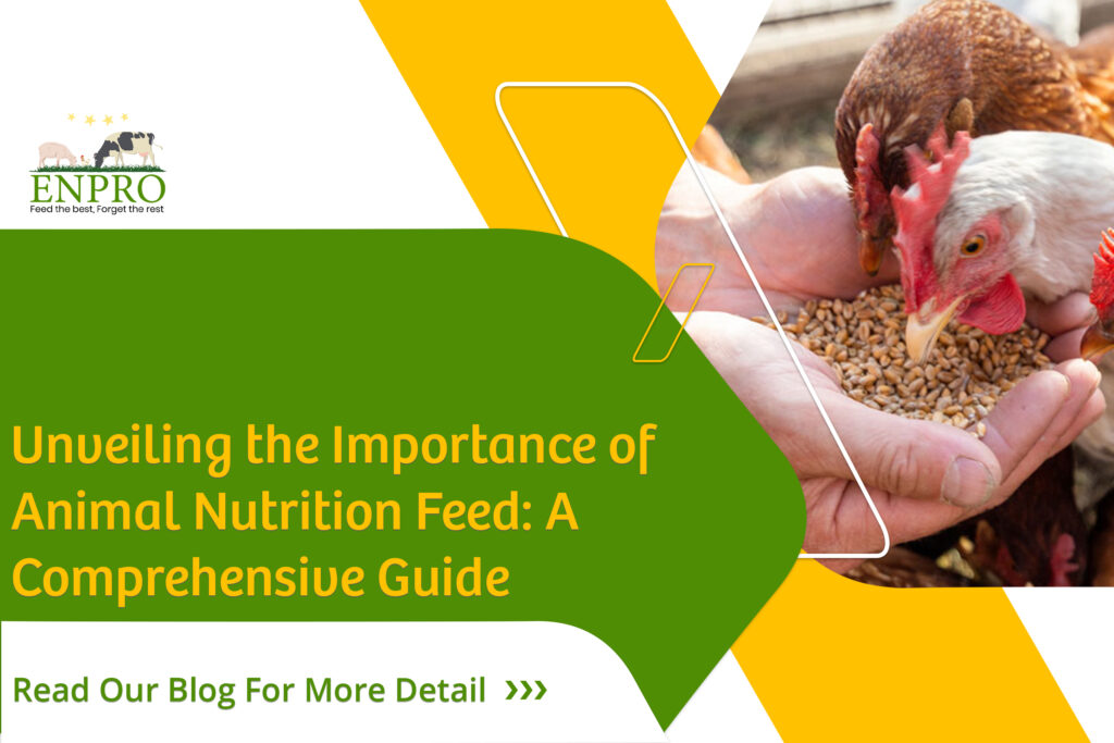 Unveiling the Importance of Animal Nutrition Feed