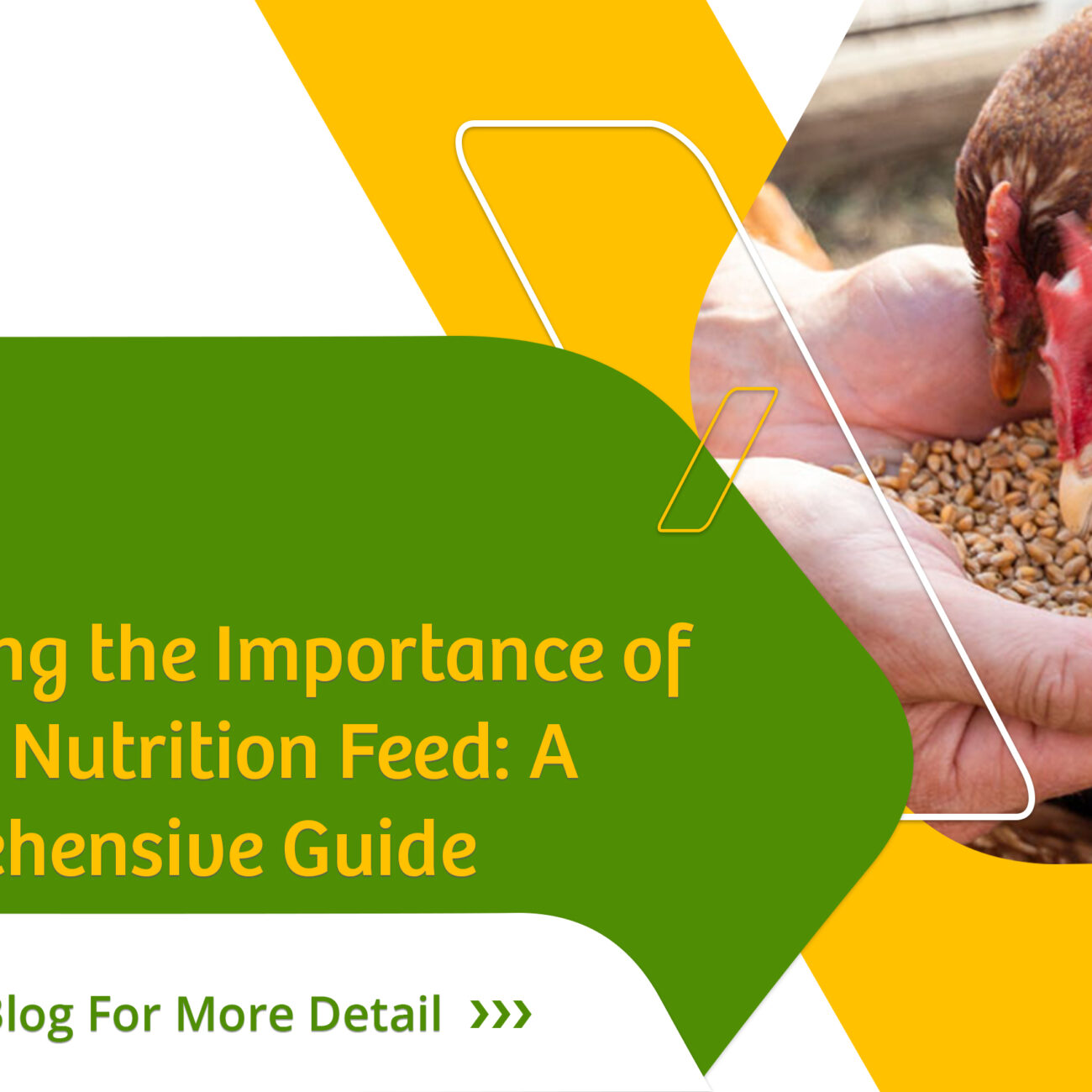 Unveiling the Nutritional Powerhouse: Rice DDGS Nutrition Facts