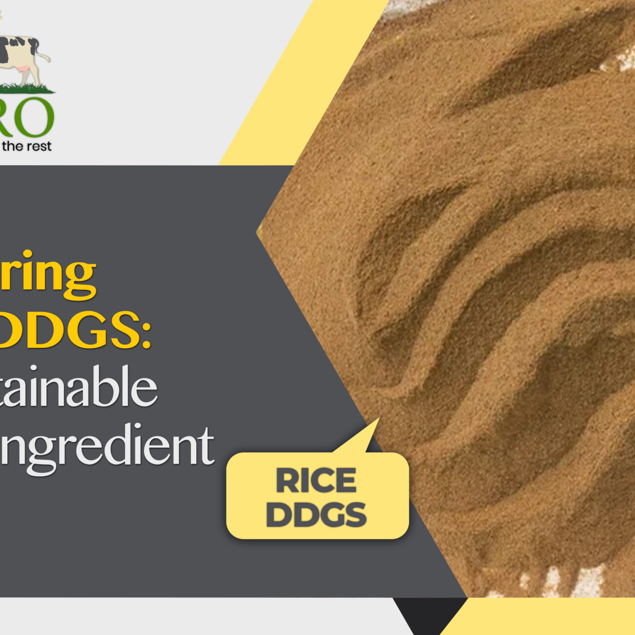 Unveiling the Nutritional Powerhouse: Rice DDGS Nutrition Facts