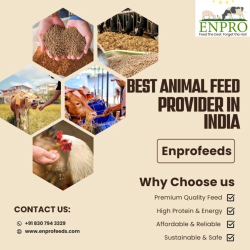 Best Animal Feed Provider in India | Enprofeeds Trusted by Farmers